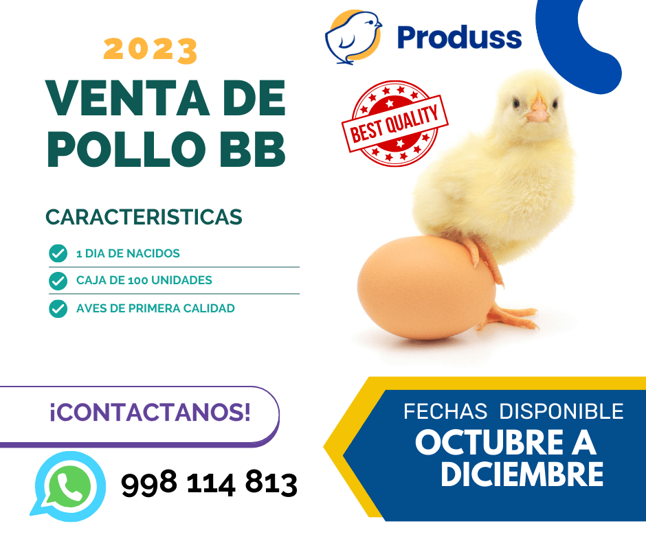 Pollo bebé ROSS – Produss